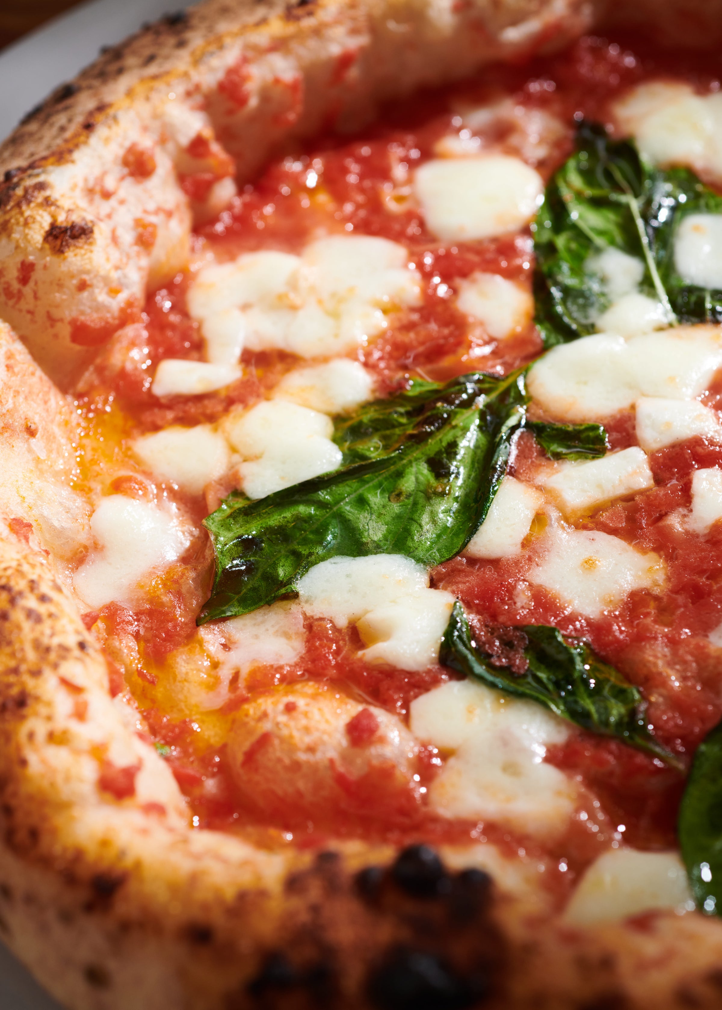 Dine In Menu Reservations Buy a Gift Card Order Online Contact Us